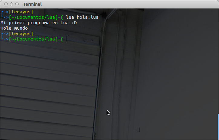 Tutorial Lua En Linux Variablestipos Tiempo De Tux