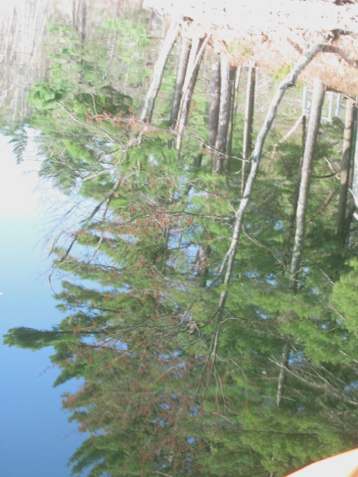 Recreational Kayaking in Maine: Crystal Lake, Gray, Maine