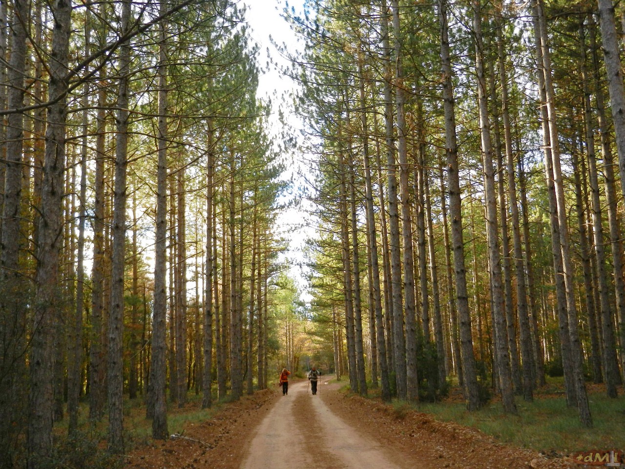 0086 - Vértices Geodésicos C.V.: Mazorral (1113 m) / A+ 613 m / 23,36 ...