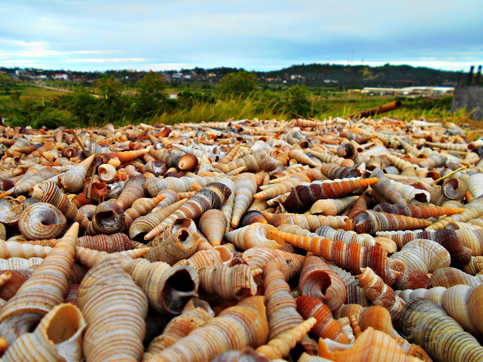 Roxas City: Check Out El Circulo Convention Center And Cafeterraza In ...