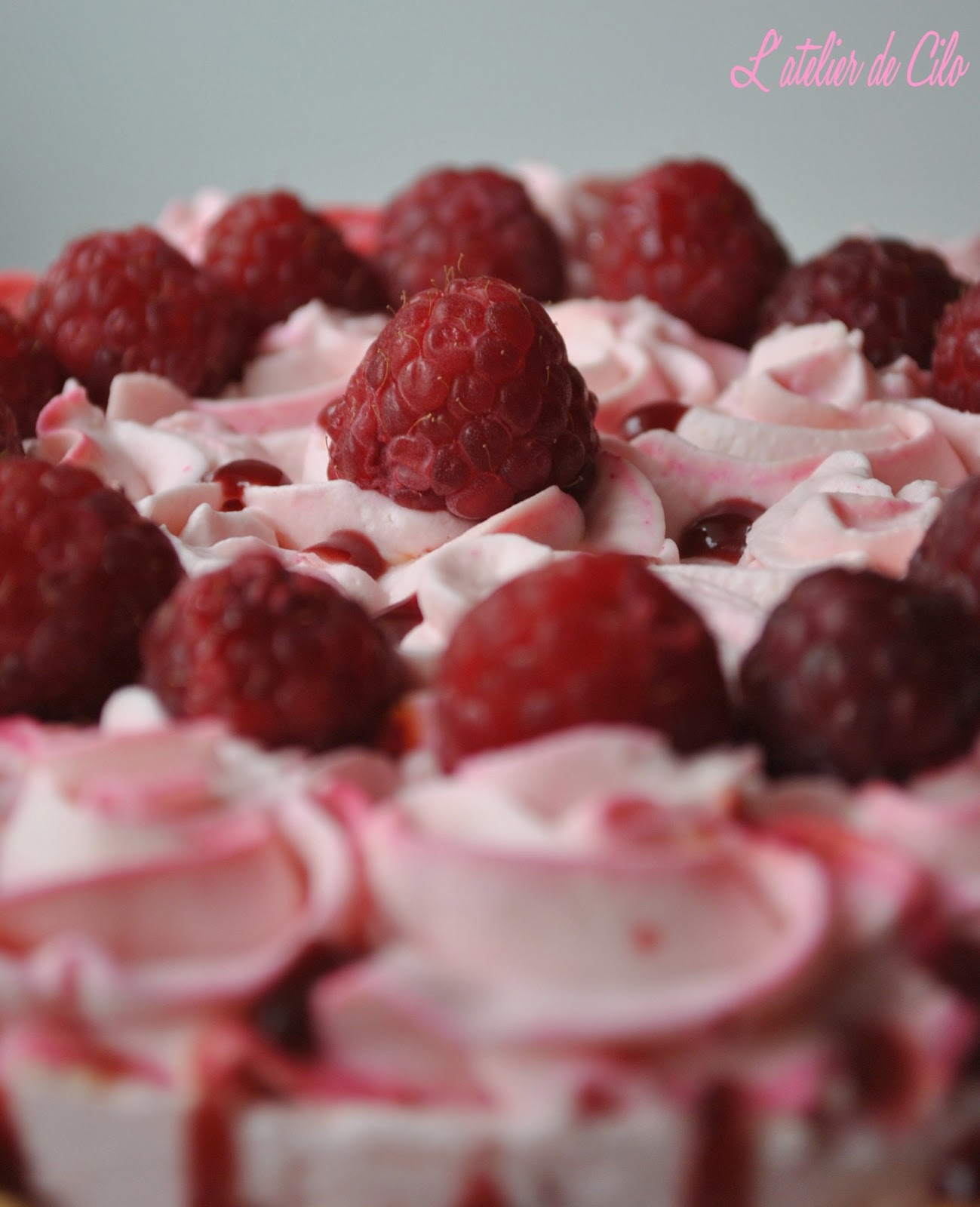 L'atelier de Cilo: "Charlotte aux framboises / Raspberry Charlotte"