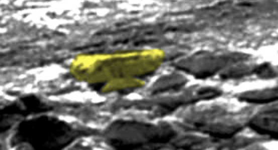 UFO SIGHTINGS DAILY: Alien Structures On Plutos Surface Show Age As ...