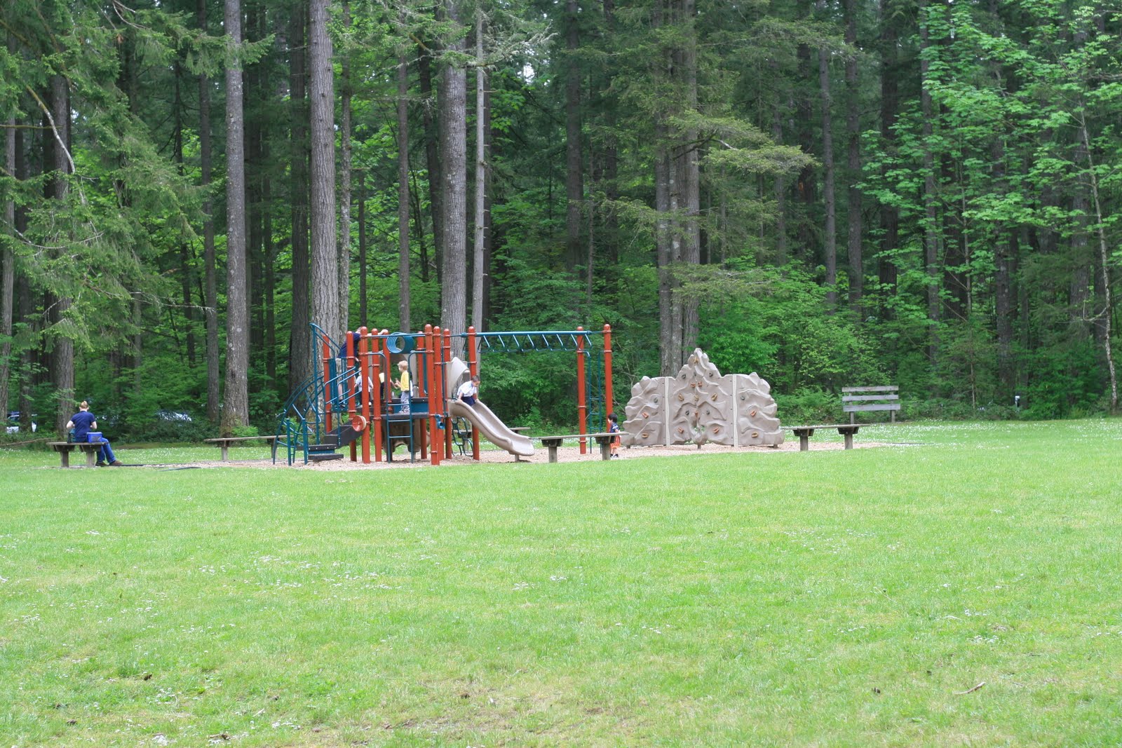 Hiking in the Pacific Northwest: Nolte State Park