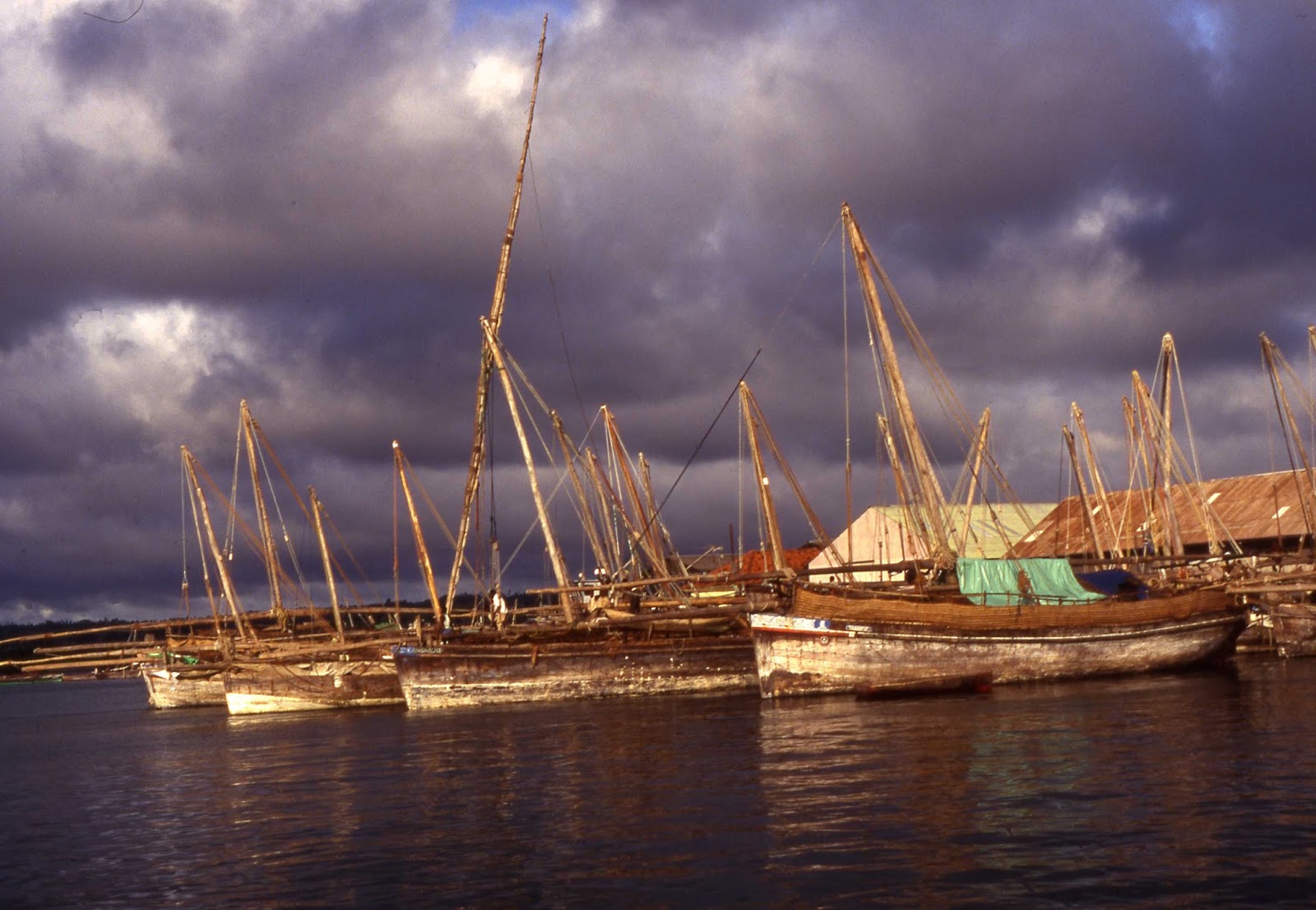 One picture; one story: Zanzi-Bar