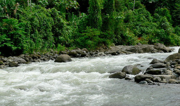 RIOS el istmo de Panamá - Clarín Deportivo