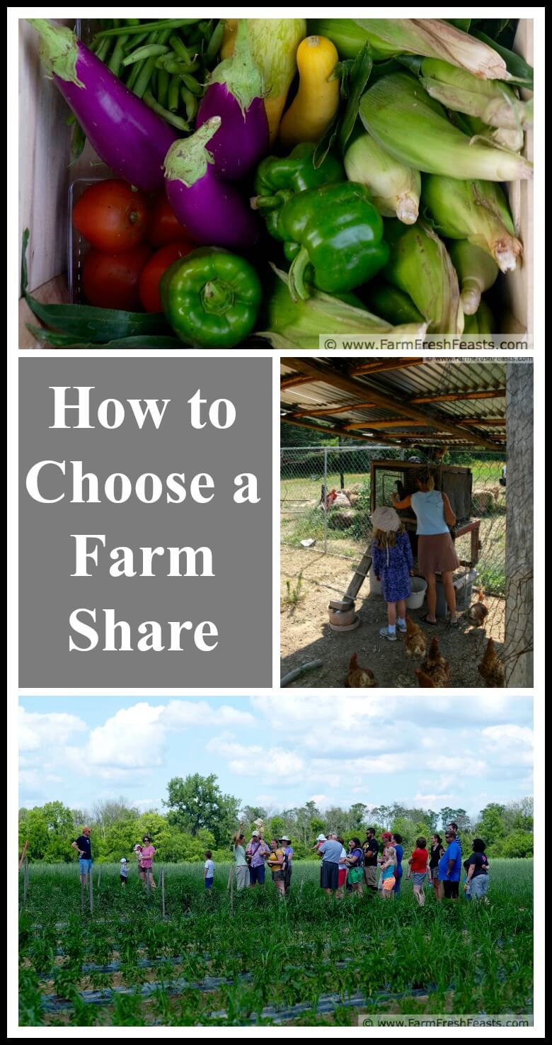 Farm Fresh Feasts: How to Choose a CSA Farm Share