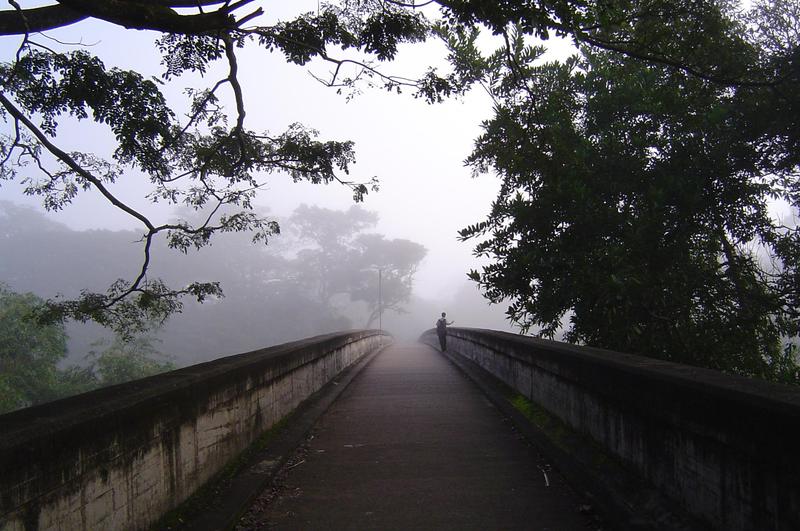 Sri Lanka University News Education Campus School ශ්‍රී ලංකා විශ්ව විද් ...