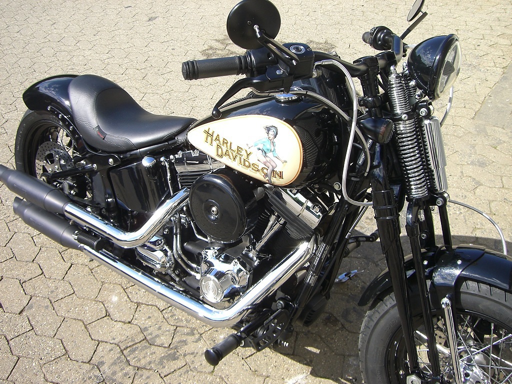 biker excalibur II: Harley Davidson Twin Cam 96 pulgadas Softail ...
