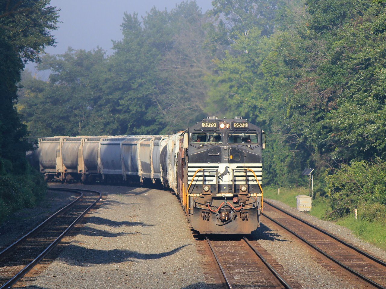 PHOTOS: BUFFALO LINE