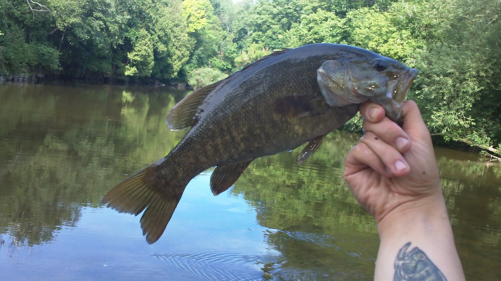 Illinois Wisconsin Fishing: milwaukee river smallmouth bass redemption