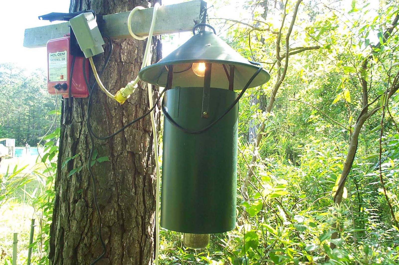 Contoh Jurnal Keanekaragaman Jenis Serangga Dengan Metode Perangkap ...