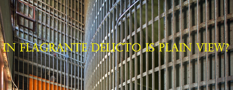 In flagrante delicto Meaning, Caught in the Act ~ How to Style