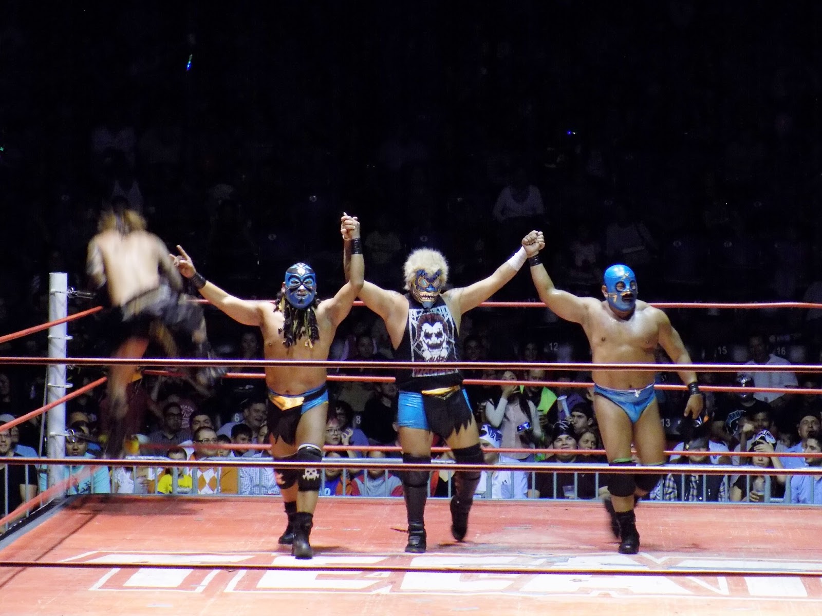 Lucha Libre Boom [Documental] Reseña. - ★ Xing Queen ★ Blogger Mexicana