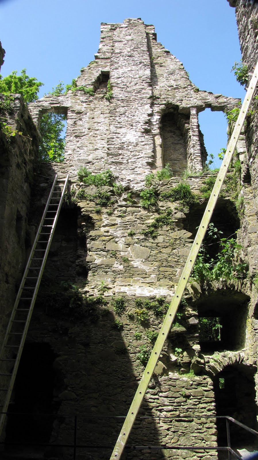 The Glebe Blog: Sorbie Tower