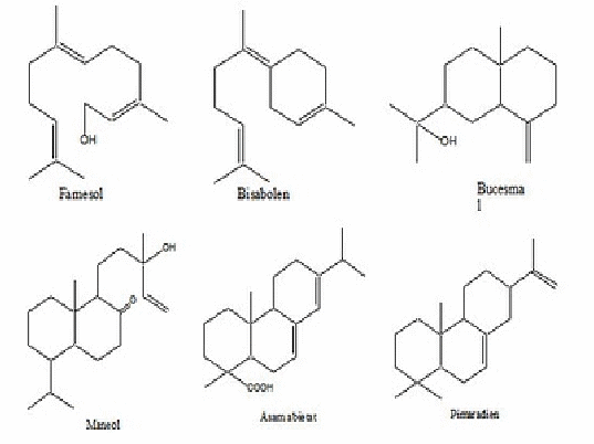 Kimia Bahan Alam: TERPENOID: Penentuan Struktur Terpenoid dan Hubungan ...