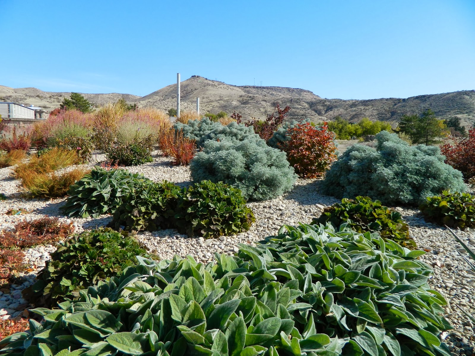 Living in Idaho: Desert Landscape, Changing Seasons