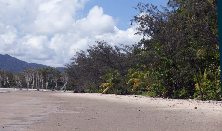 BunyipCo: January 2014