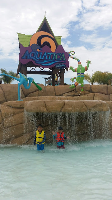 Tips For Your Visit to Aquatica by SeaWorld San Diego