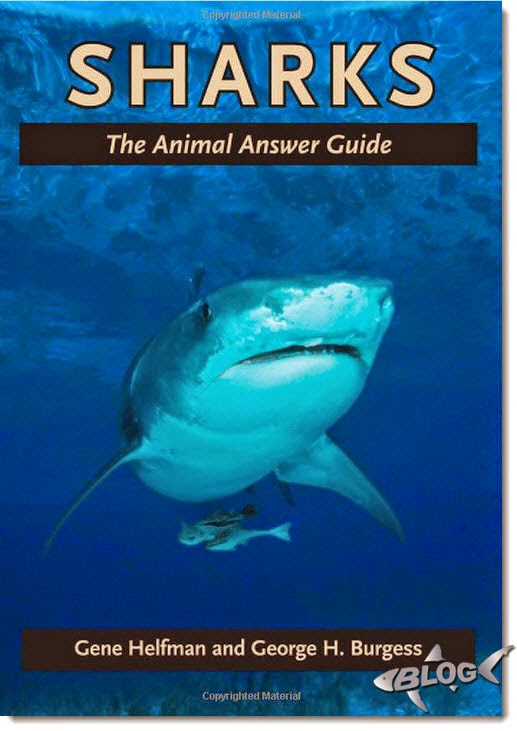 BlogTiburones: Nuevo libro sobre tiburones de George H. Burgess