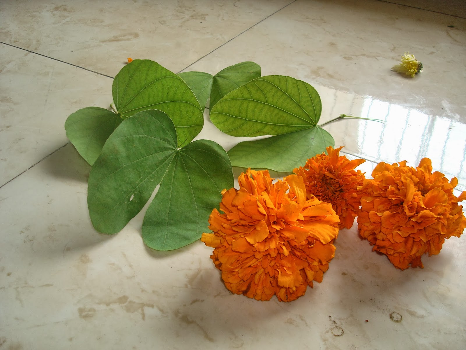 Pendulum: October 2013