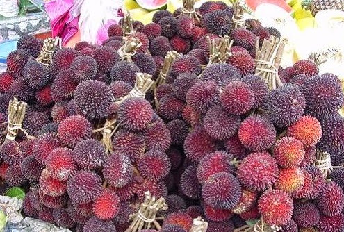 Tiger Walker (ทางเสือผ่าน): Pulasan