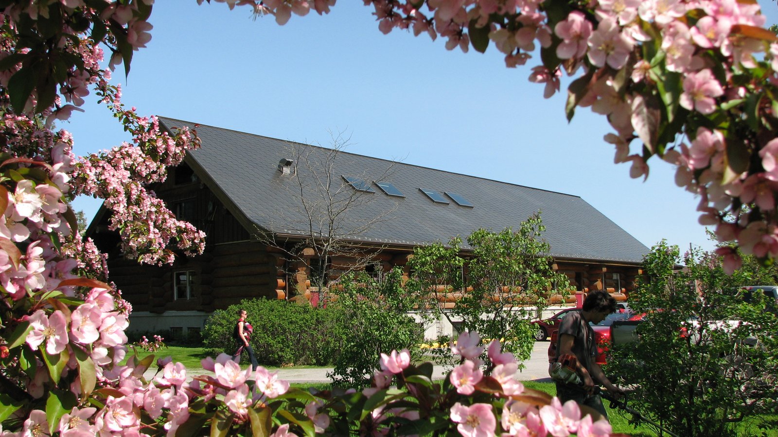 Zigzag de photos: Cabane en bois rond