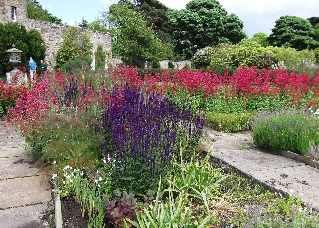 Largo Baywatch: Scotland's Gardens - Balcaskie