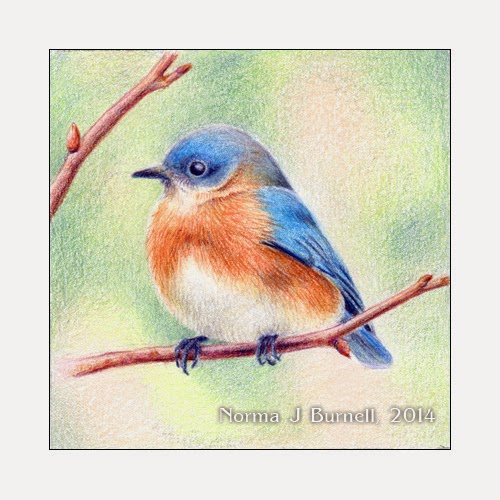 Fairy Tangles: A Couple of little Birdy Drawings