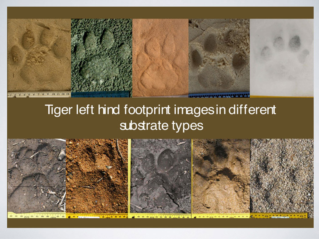 Biodiversity Science: Footprints