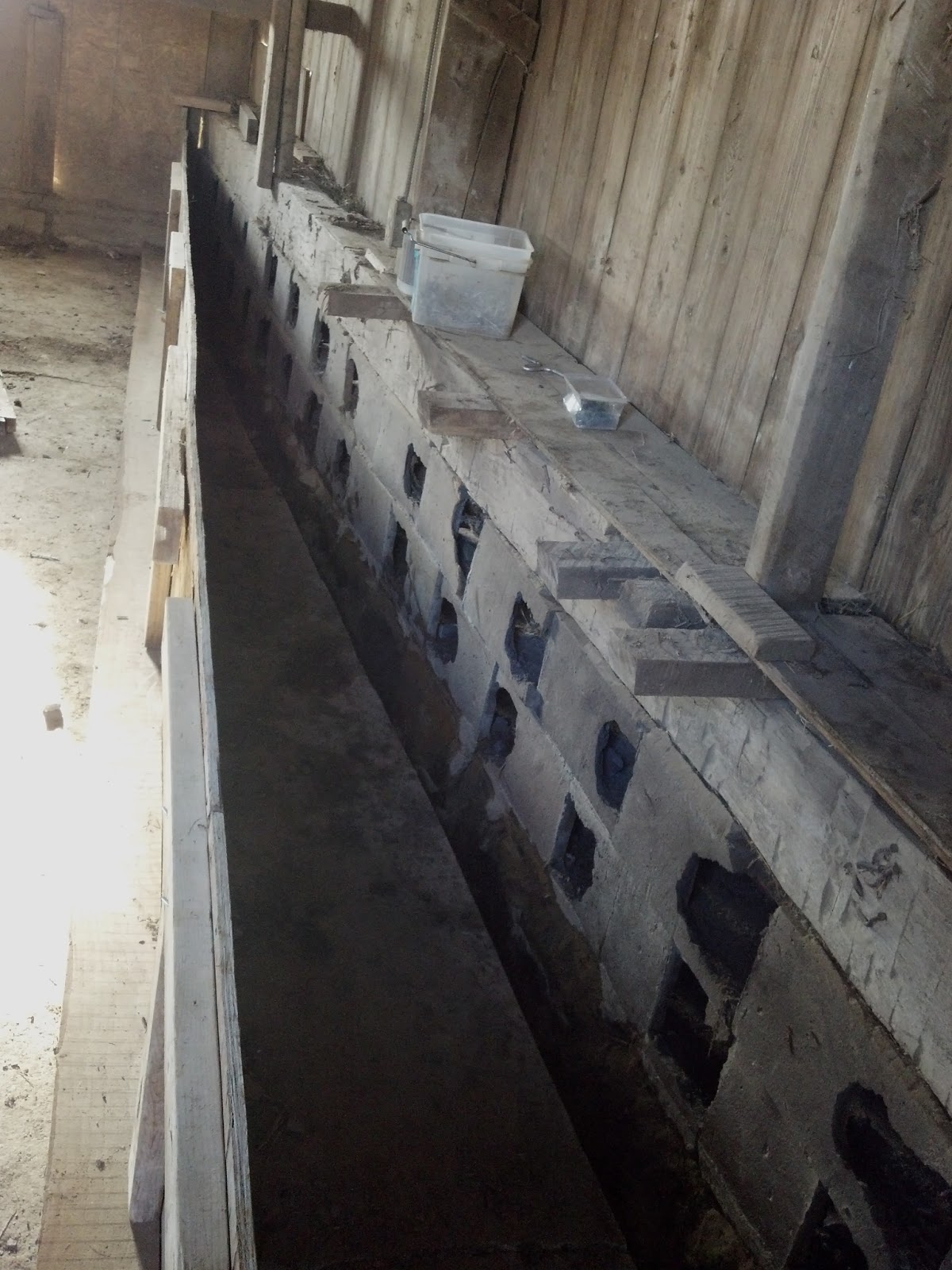 Conser Run Report: Barn wall repair, concreting pig pens, legacy update!