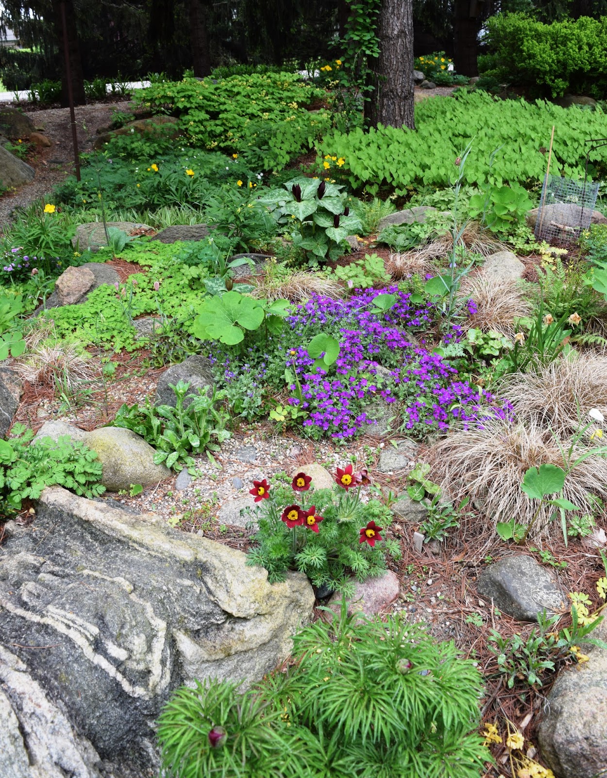 Prairiebreak: A perfect rock garden