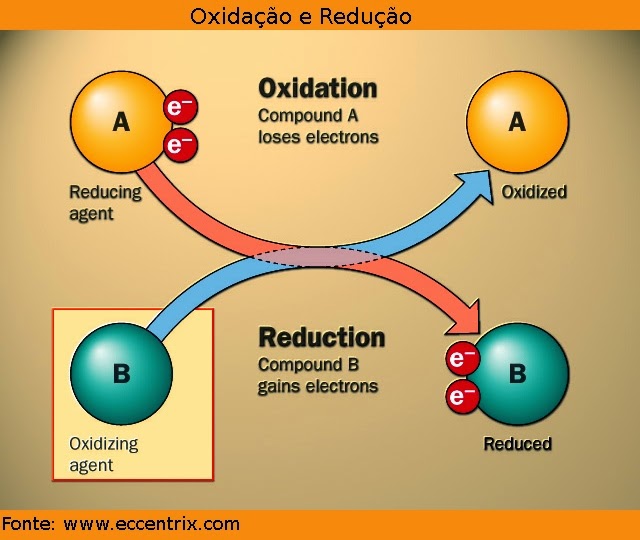 Sala de Bioquímica: Reações mais recorrentes do corpo humano