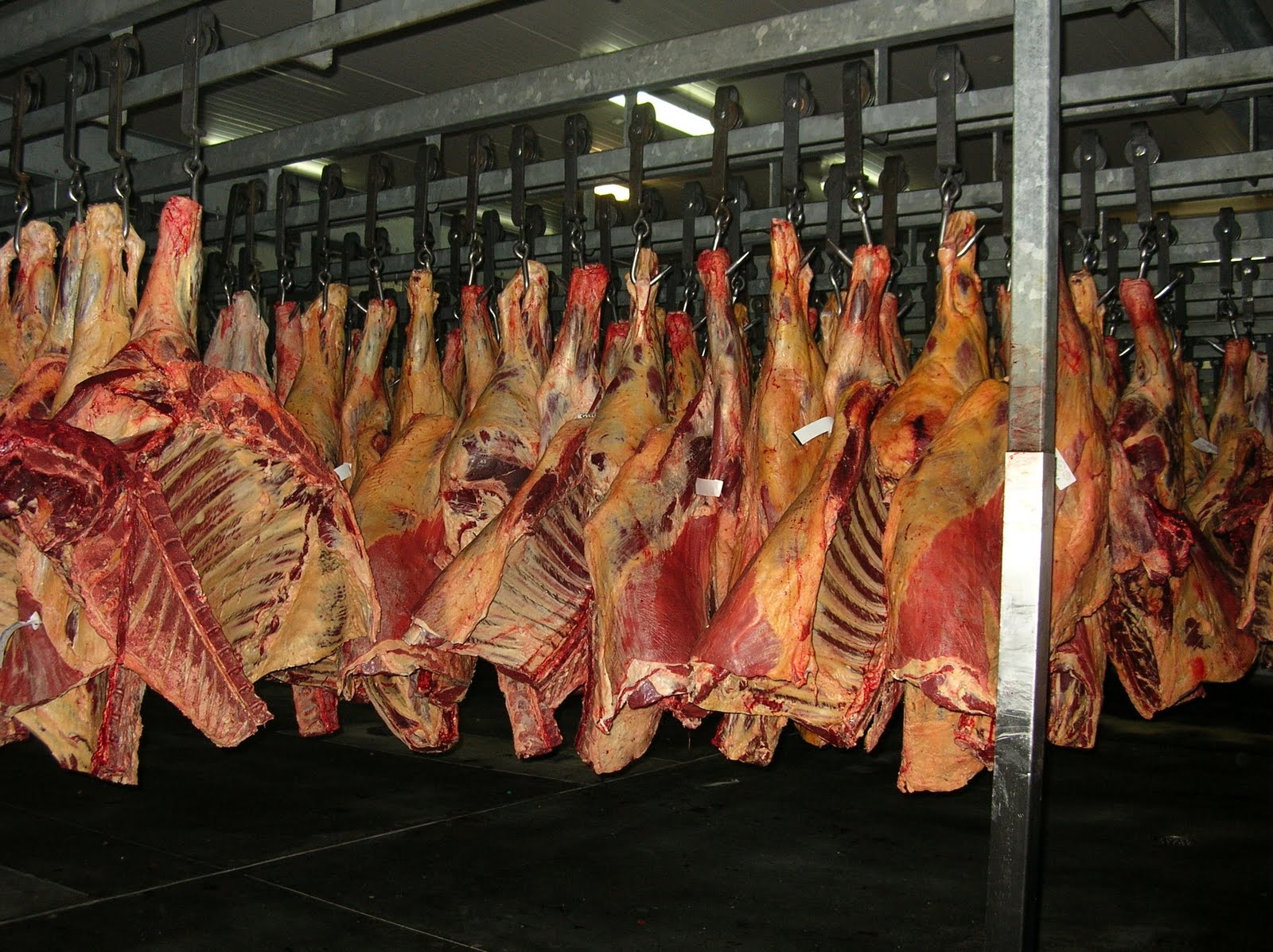 # CHEF HENDI SKINZ #: KARKAS, Bagian-Bagian Daging Sapi Dan Kegunaanya