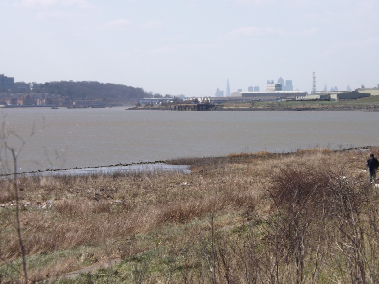 Ramblings from an English Garden: Rainham Marshes