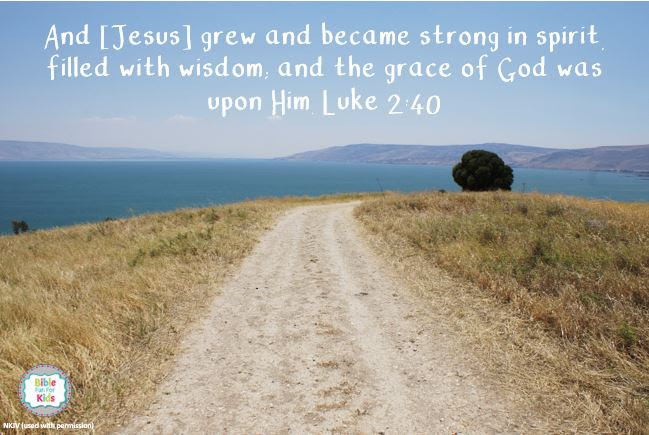 Jesus Grew in Wisdom | Bible Fun For Kids