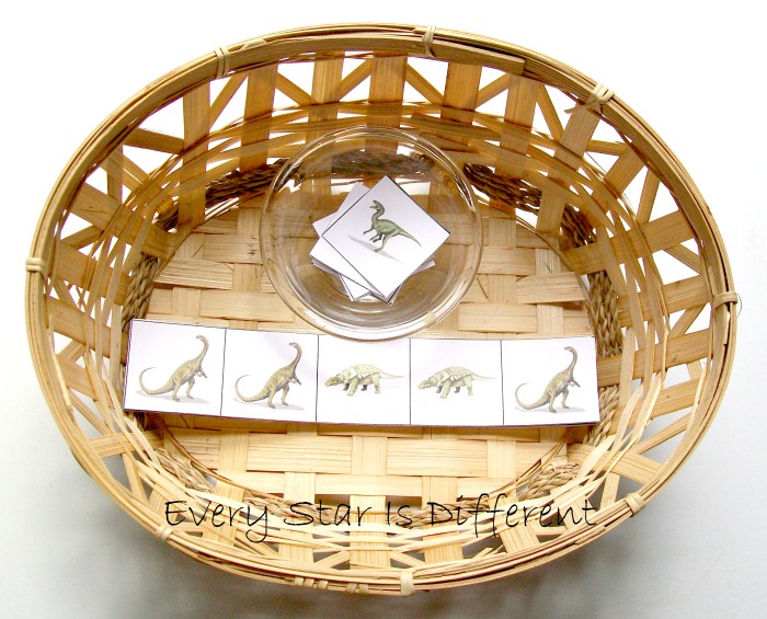 Dinosaur Unit 3 with FREE Printables - Every Star Is Different