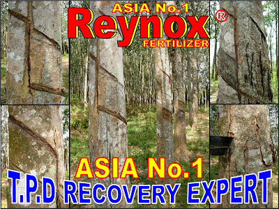 Baja Getah Terbaik Di Asia ~ Baja Organik Terbaik