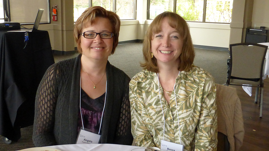 Carol Baldwin's Blog: A NEW Emotional Thesaurus Book is Coming!