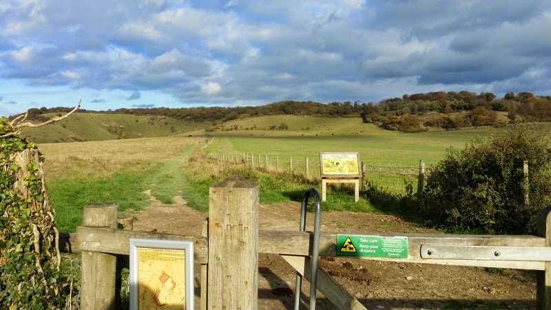Lucy's Wednesday walks: The Ridgeway - Ivinghoe Beacon