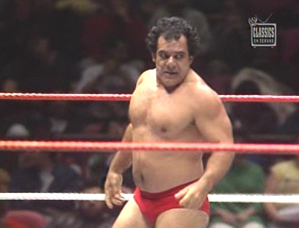 Steve's Graps: WWF Primetime 2-11-88