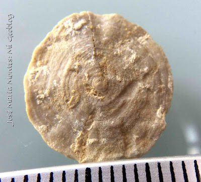 Mi Geoblog: Geologia y más: enero 2018