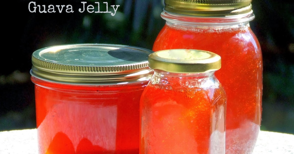 Guava Jelly | Ambrosia