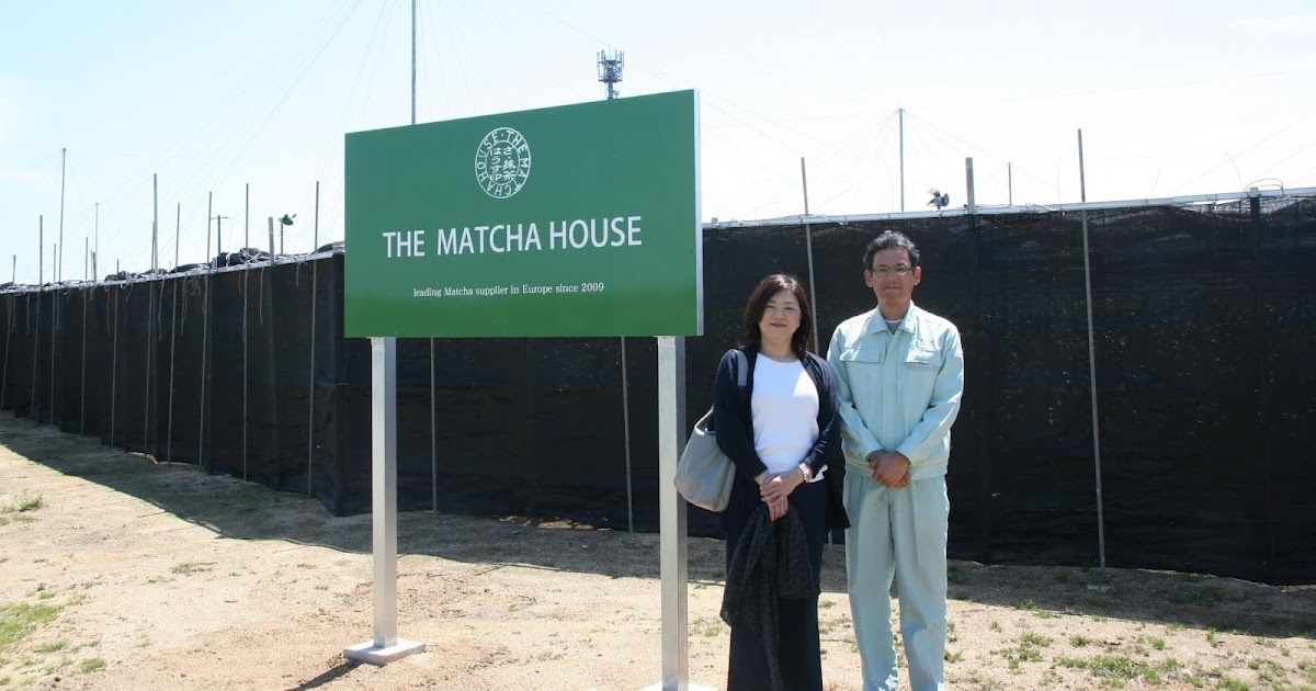 The Matcha House celebrates its 10th anniversary with a new tea plantation