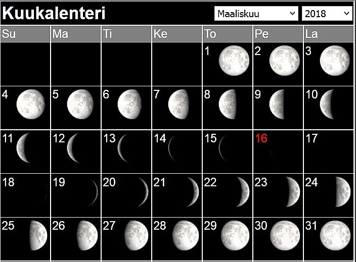 Johannes Leijona: Tule mukaan iloitsemaan