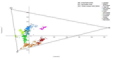 Eurogenes Blog: The fateful triangle