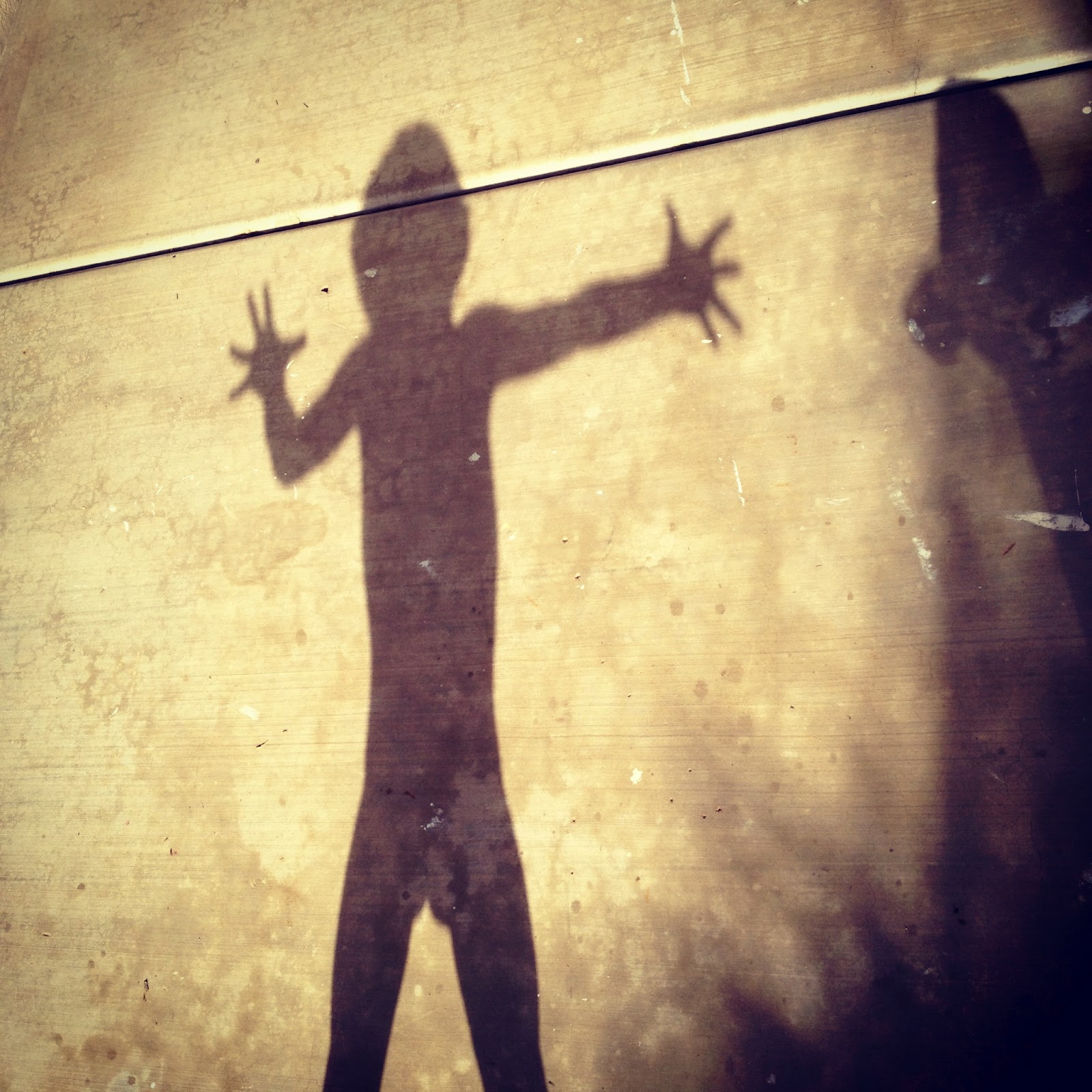 7. Shadow. I let the boy go skinny dipping in the back yard. Words ...