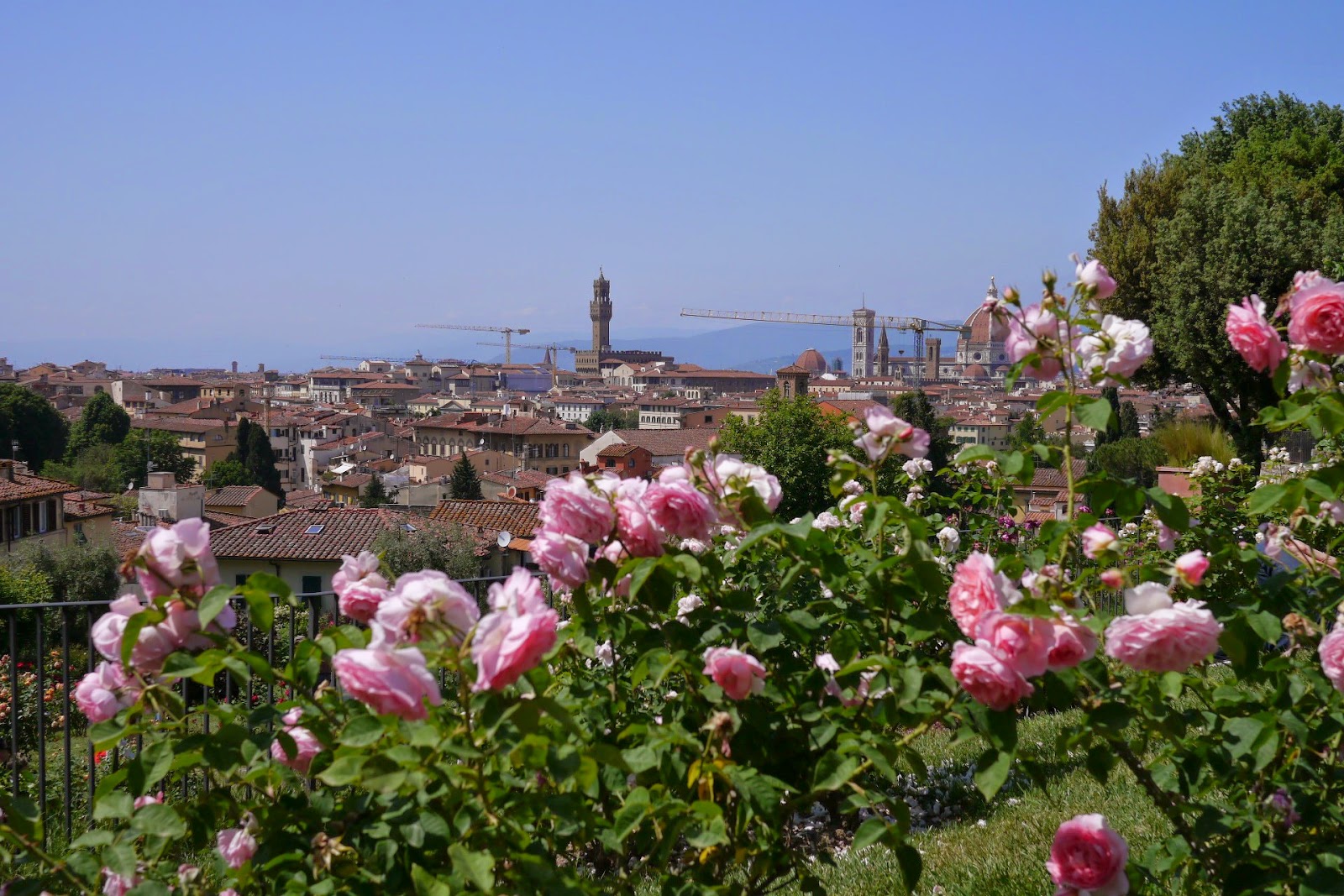 girovagando: GIARDINI TEMATICI A FIRENZE: IL GIARDINO DELLE ROSE E IL ...