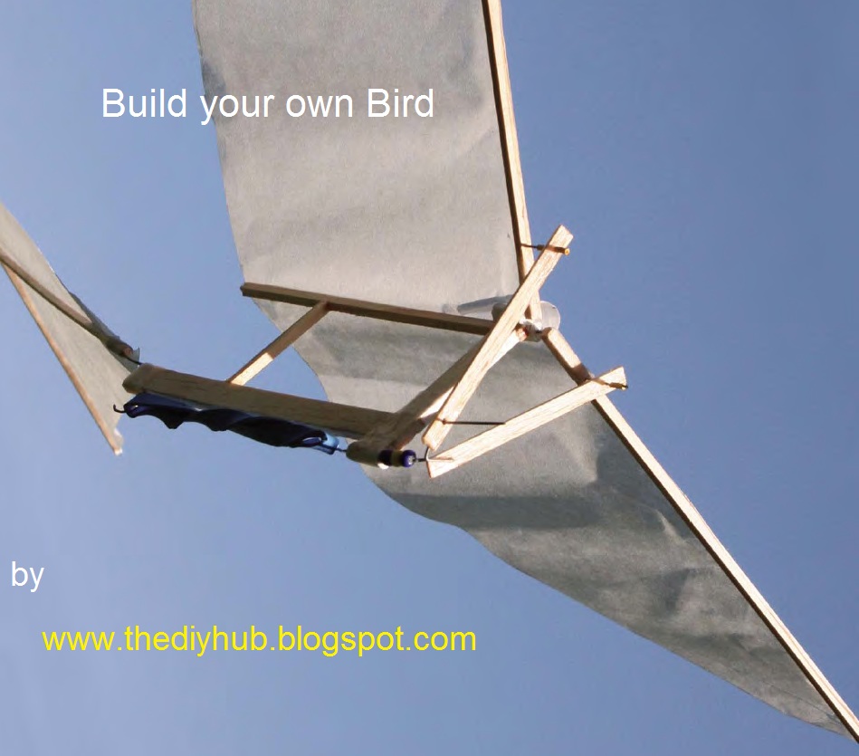 The DIY hub: MAKING bird ,DIY bird,home made ORNITHOPTER,home made bird