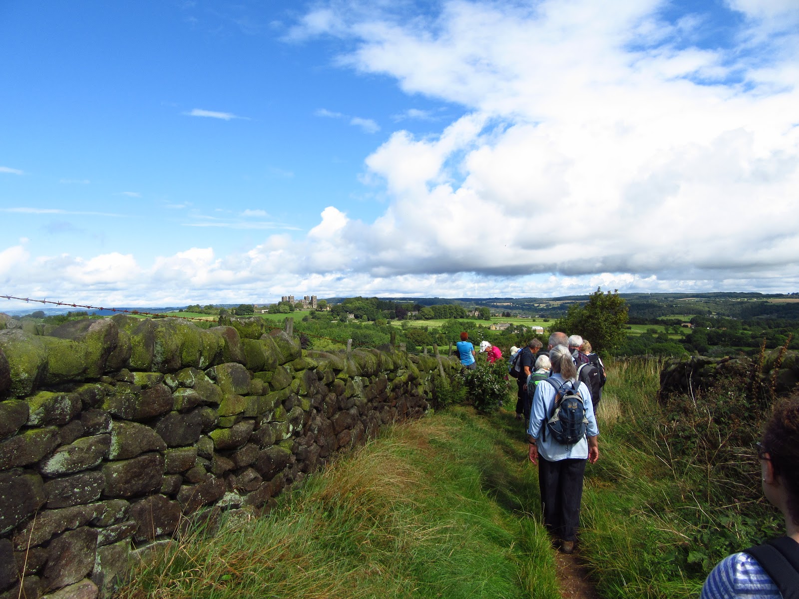 Bunny Mummy: Hilly Fields