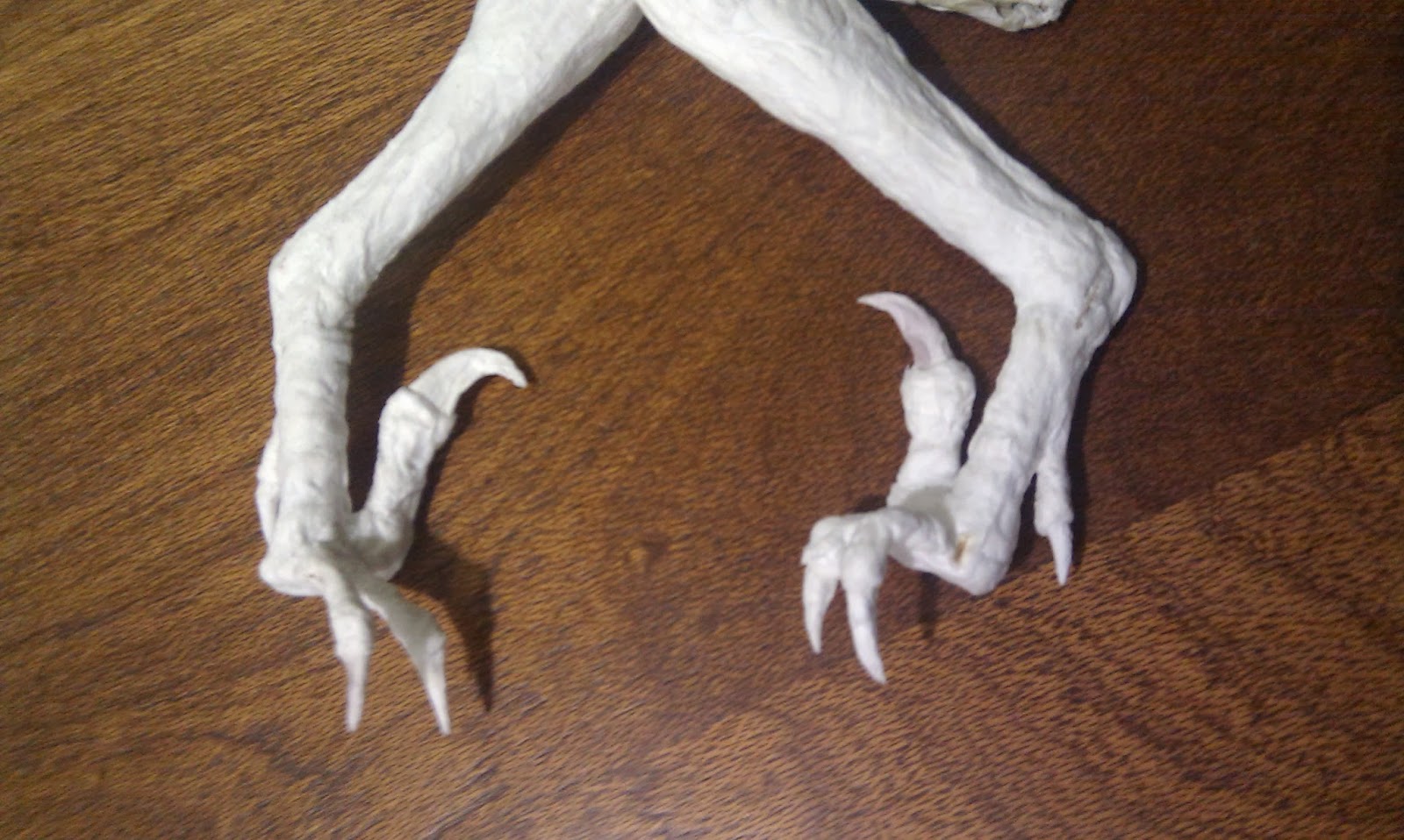 Dragon feet